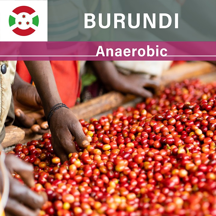 ブルンジ | ORIGIN COUNTRIES（オリジンカントリーズ）-スペシャルティコーヒーの生豆インポーターの卸売り販売用サイト